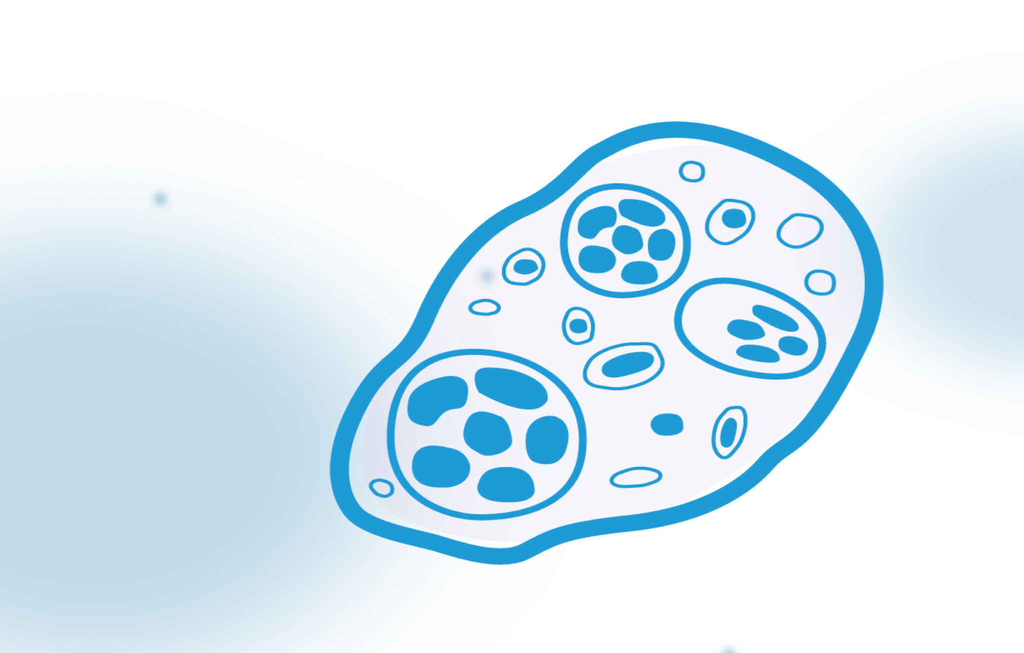 Dientamoeba fragilis: symptoms, prevention & treatment – Genetic ...