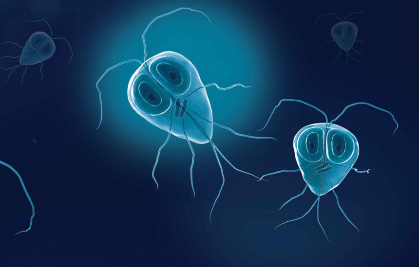 Giardia: symptoms, prevention & treatment – Genetic Signatures USA
