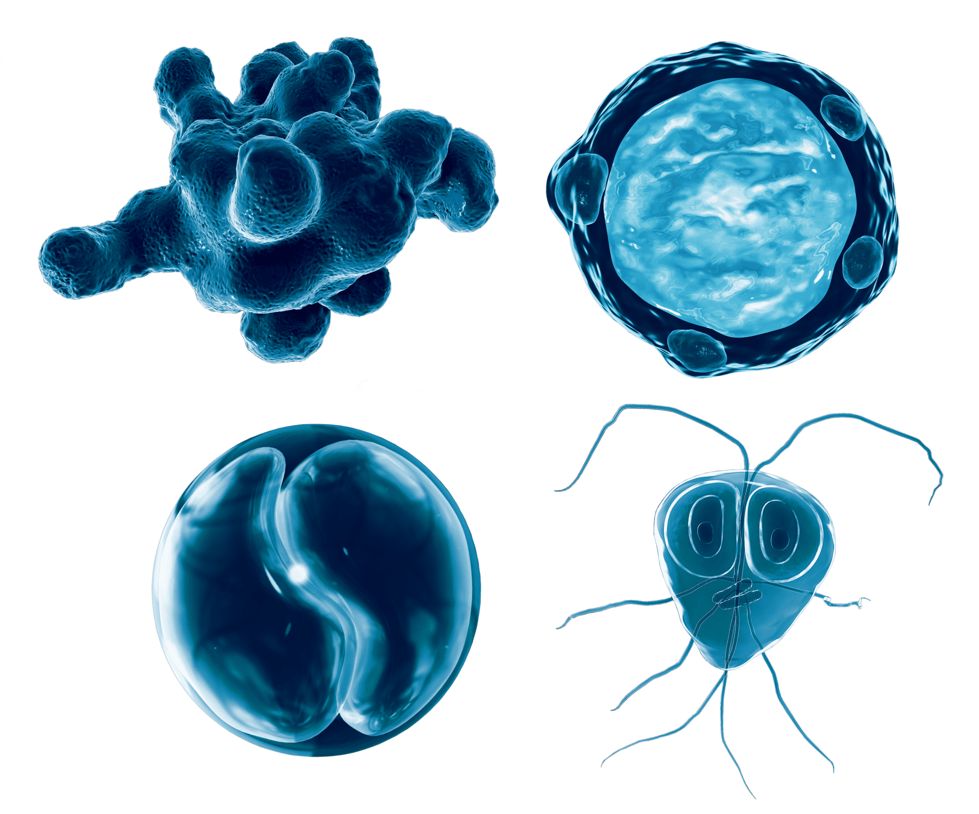ASM Microbe 2025 - Genetic Signatures